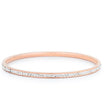 Katlynn Round CZ Bangle Bracelet | 2ct – Beloved Sparkles